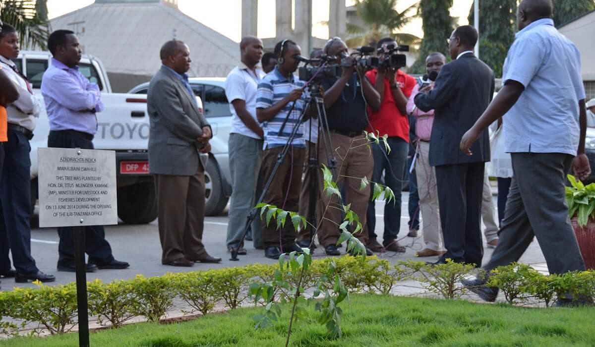 Eastern Africa At The African Commission Rights Must Be Better